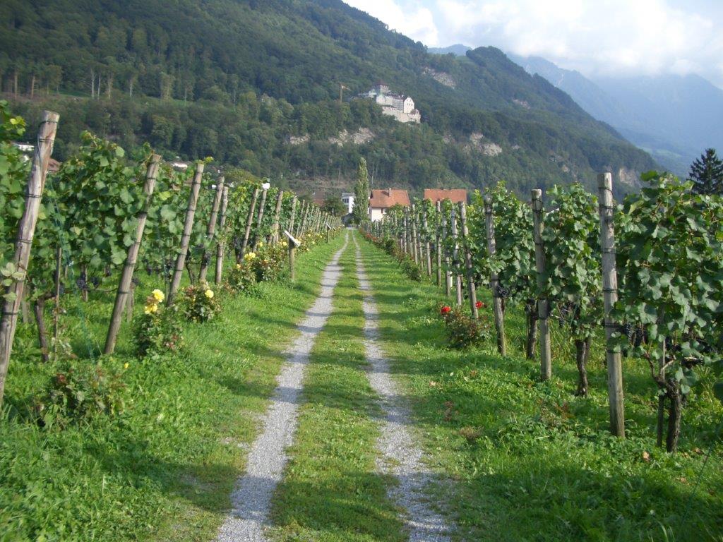 日本リヒテンシュタイン協会 | Japanisch Liechtensteinische Gesellschaft